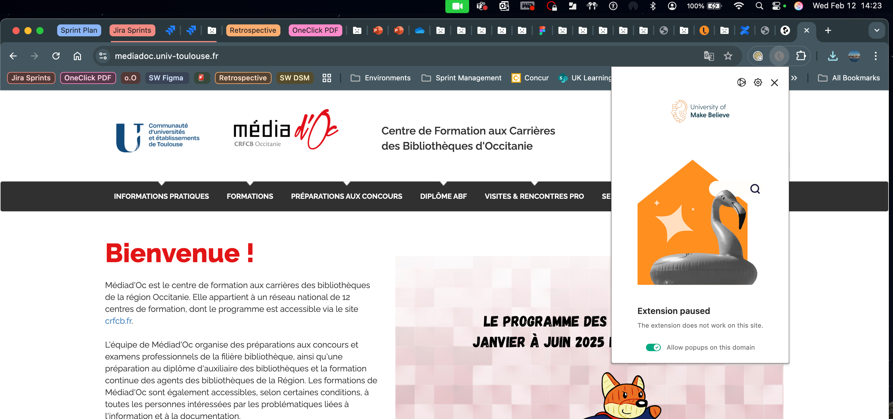 Block Extension on Domains feature – Lean Library